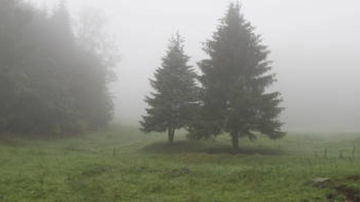 Polizei sucht im Fall Mary-Jane nach Wandergruppe