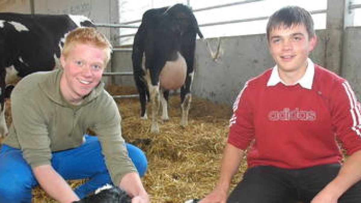 Schweizer leisten Geburtshilfe