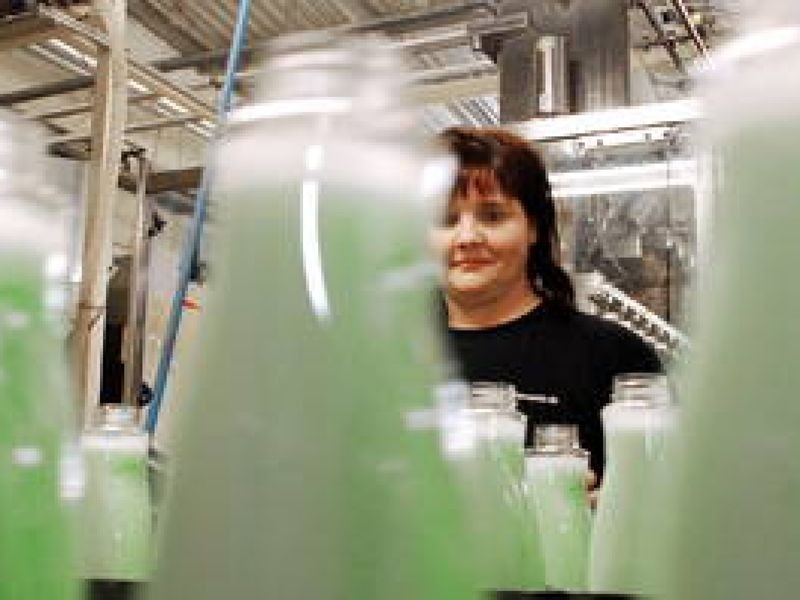 Domal-Wittol Stadtilm erweitert die Produktpalette