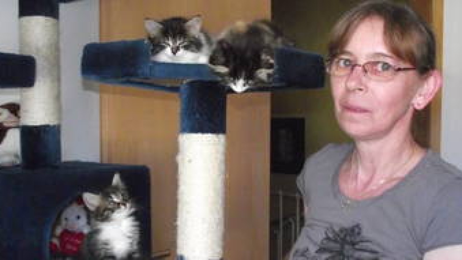 Die Katze der Wikinger