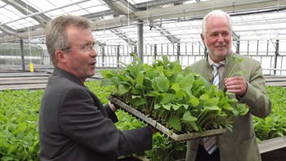 Anbauversuche mit neuer Energiepflanze