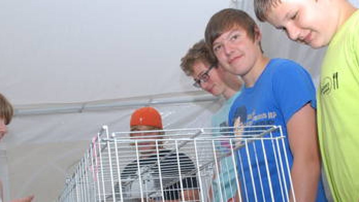 Züchter im Landkreis Greiz plagen Nachwuchsprobleme