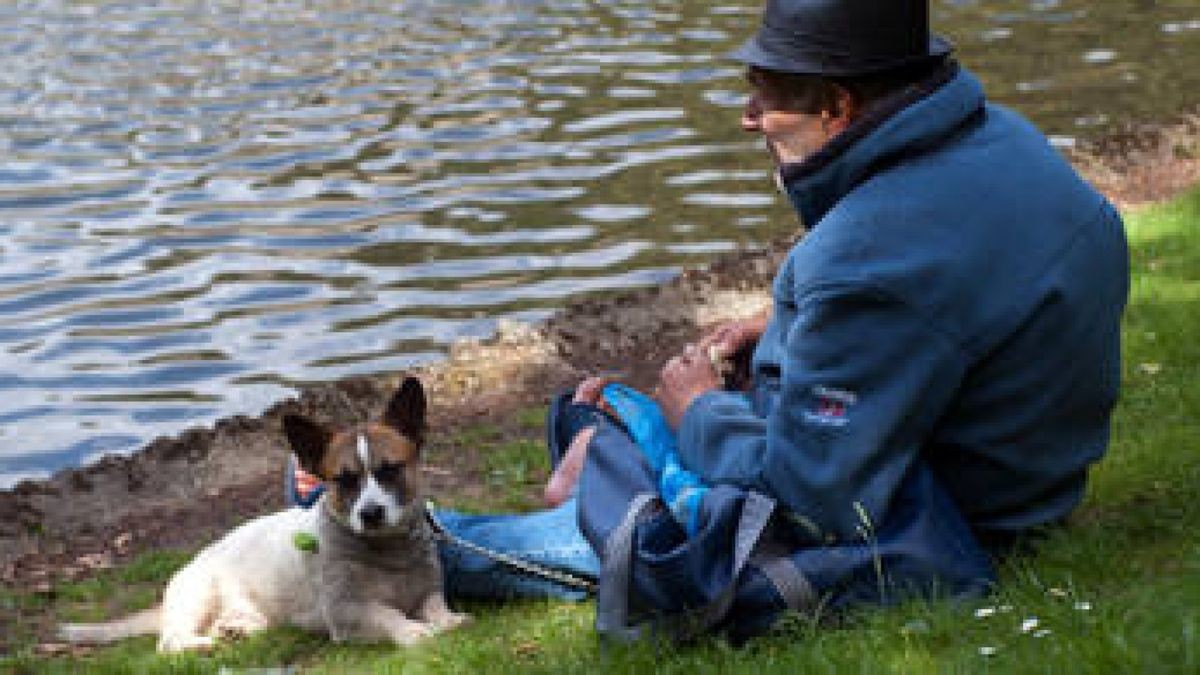 Wohin mit dem toten Hund? Tierbestatter Höch gibt Antwort