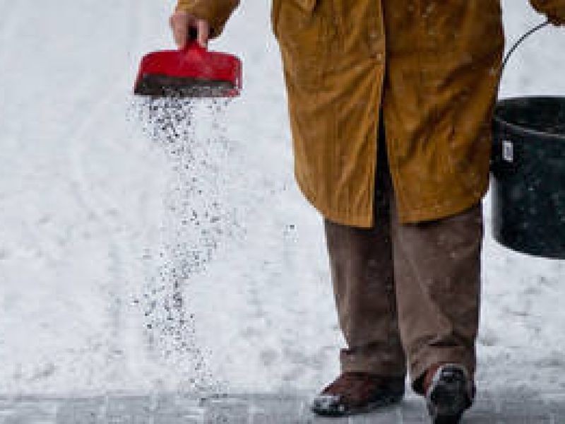 Sägespäne und Splitt: Greenpeace zu Streu-Alternativen