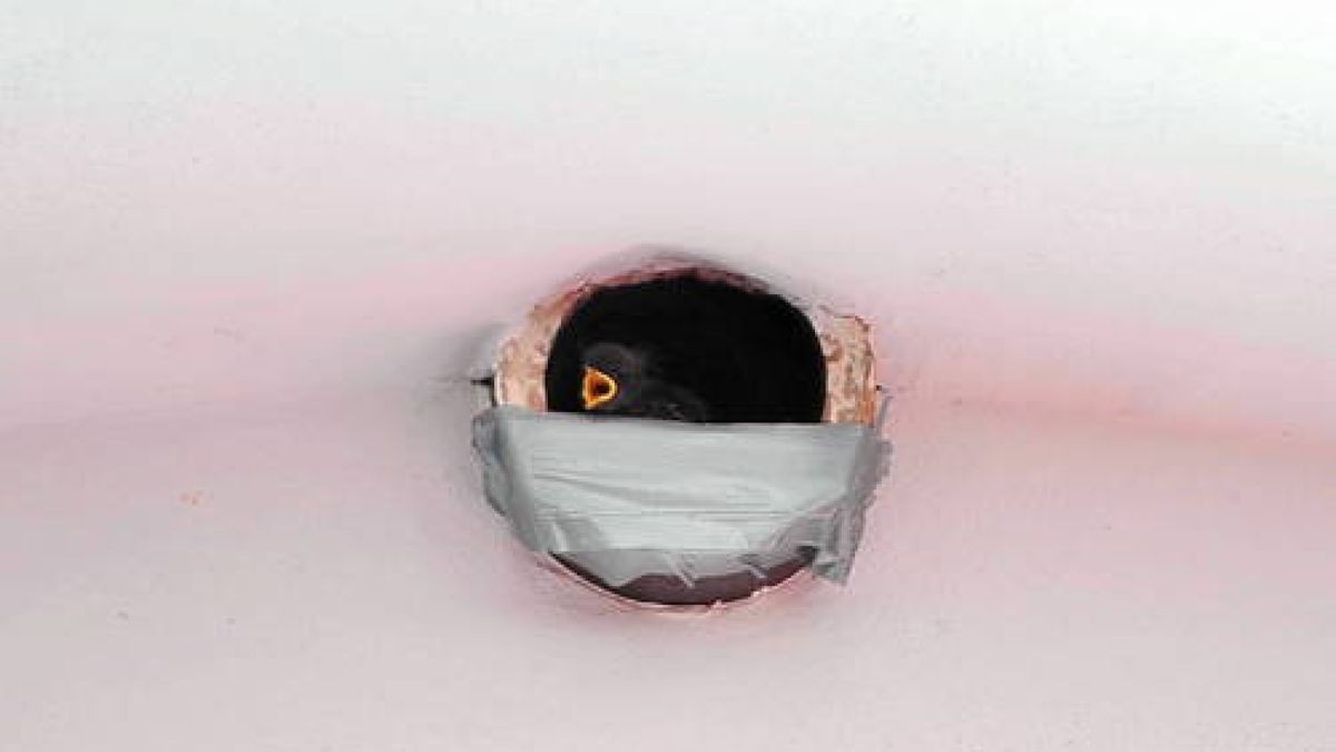 Heiße Kirmes in Hammerstedt