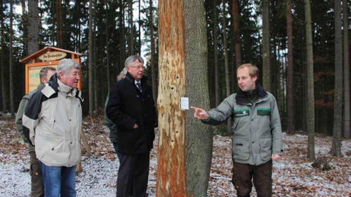 Symbolischer Start für den Bau des Walderlebnispfades in Ziegenrück