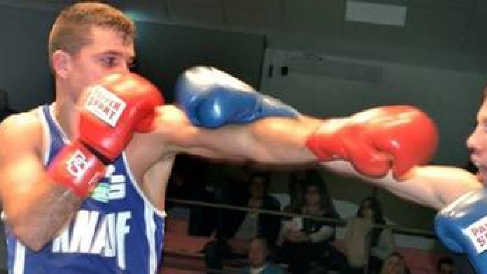 Boxen: Der Nordhäuser SV tritt gegen den Boxring Hanau an