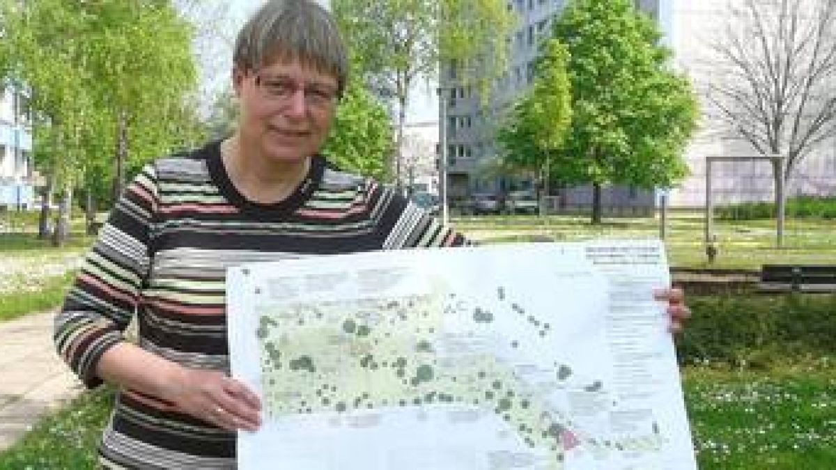 Erfurt Rieth: Umfeld in Györer Straße wird begrünt und verschönert