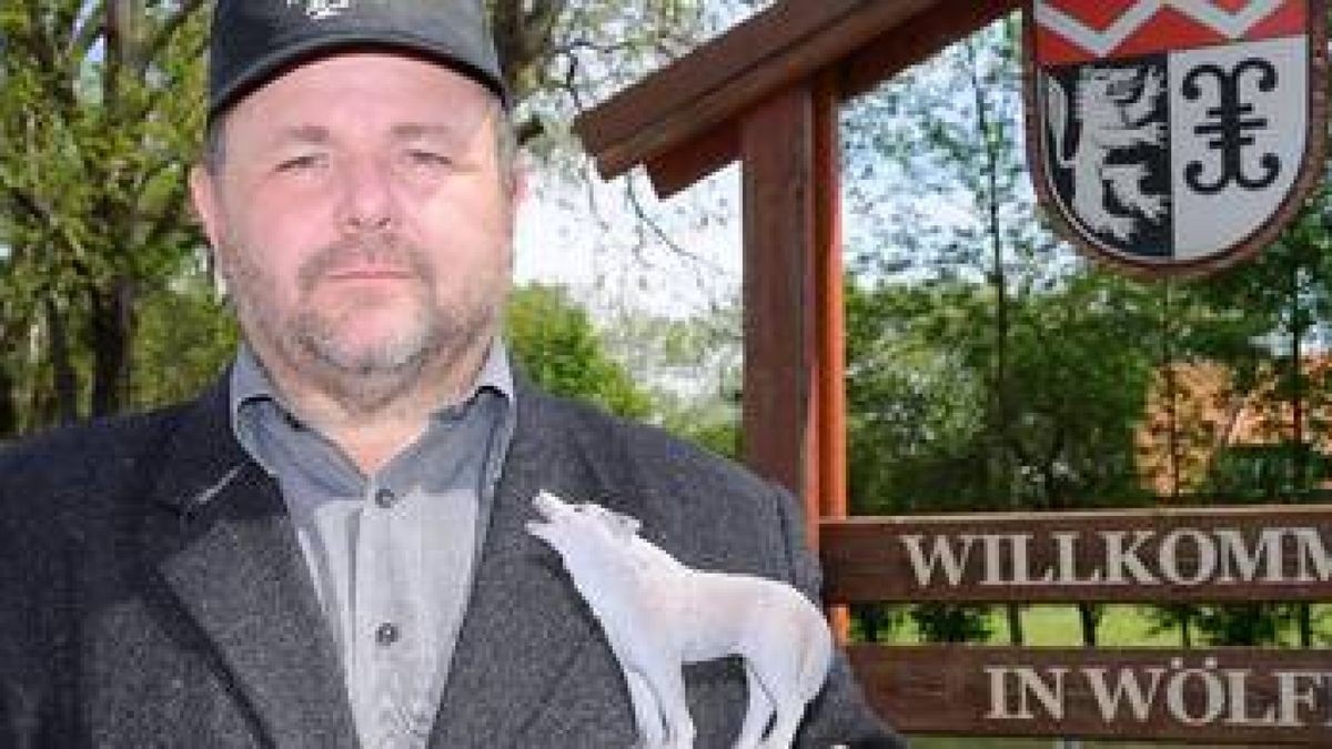 Wölfis und der Wolf - das sind im Grunde zwei Welten