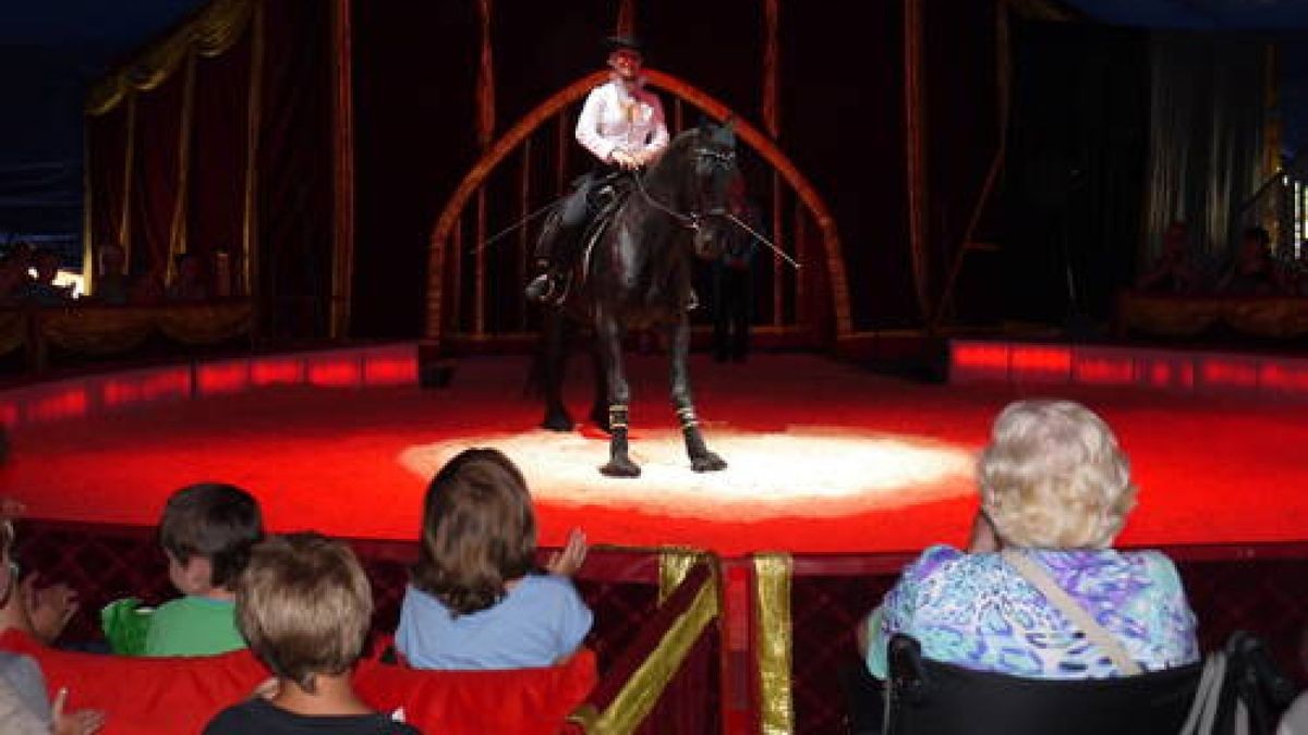 Circus Mondeo ist wieder in Gera