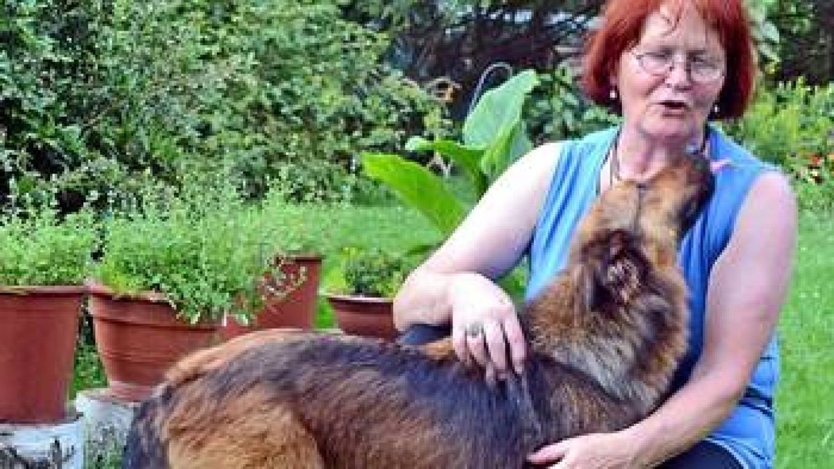 Ginger hat als Isa das große Los gezogen und wohnt jetzt auf dem ...