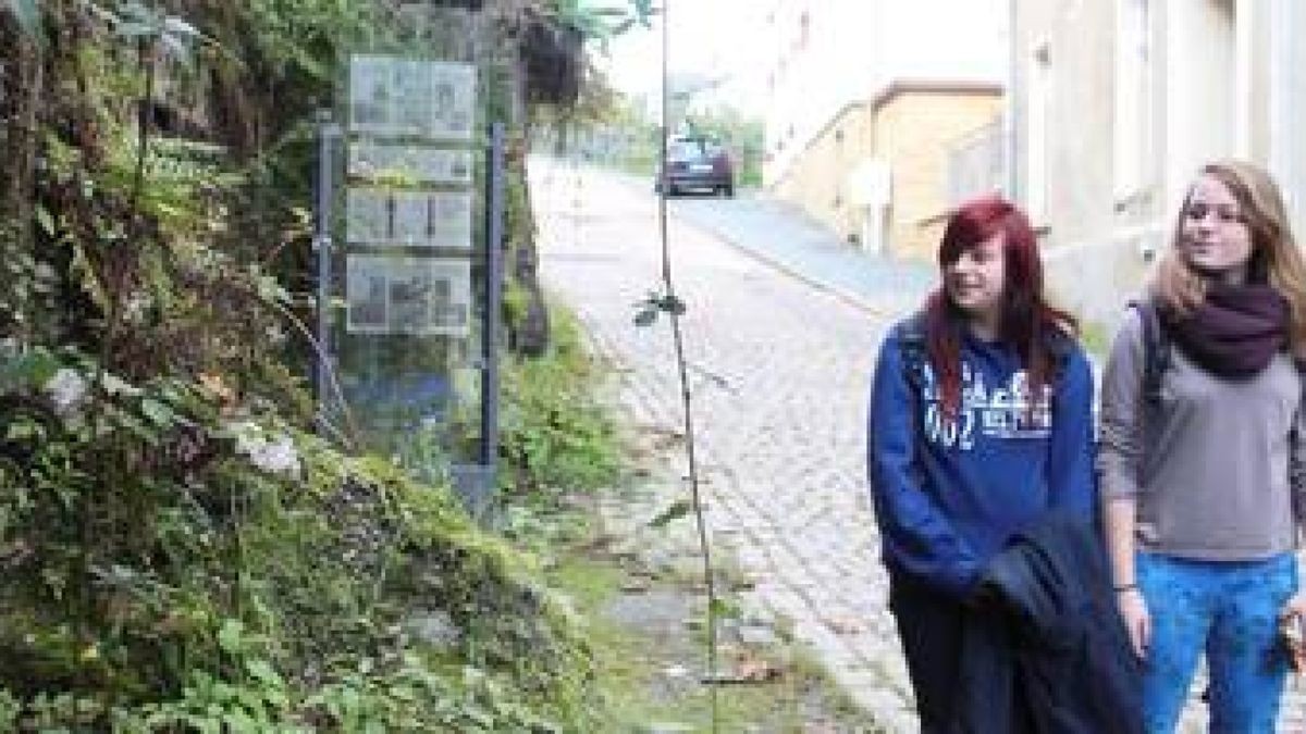 Greiz soll sich fürstlich präsentieren: Arbeitseinsatz am Schlossberg