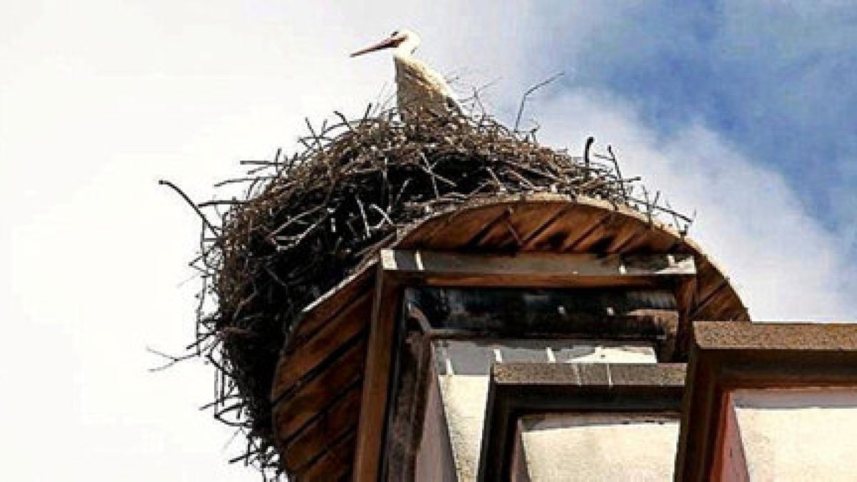 Dem Gerstunger Storchennest droht der Absturz