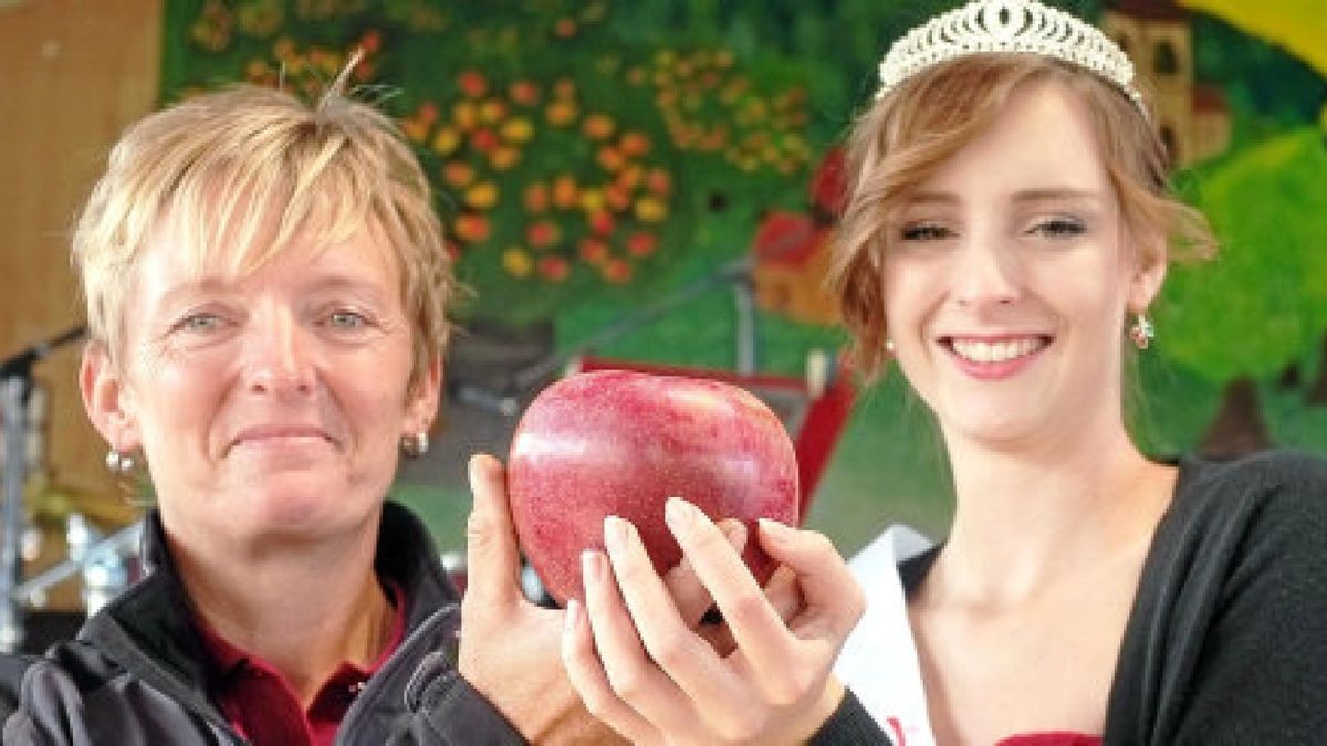 Artisten auf dem Hochseil, Äpfel auf 120 Metern Theke