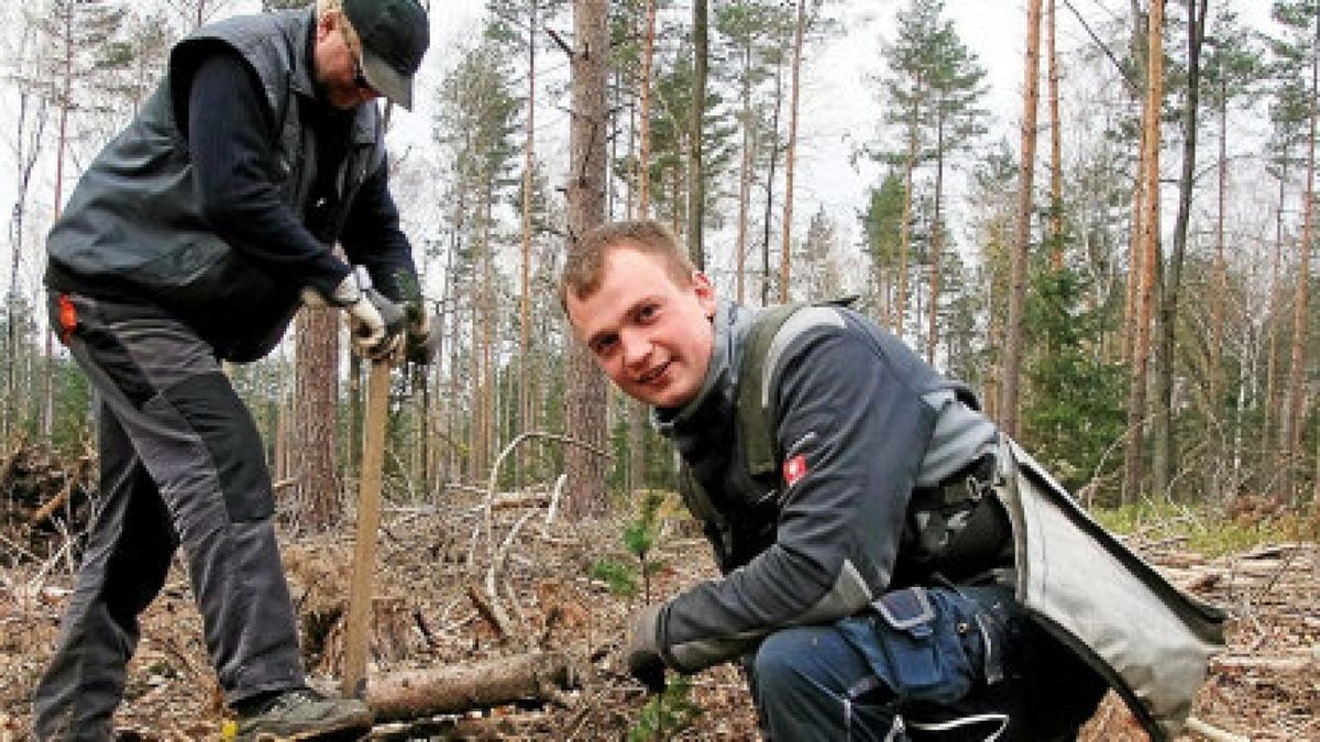 Aufforsten zwischen Hermsdorf und Bad Klosterlausnitz: Neues Leben ...
