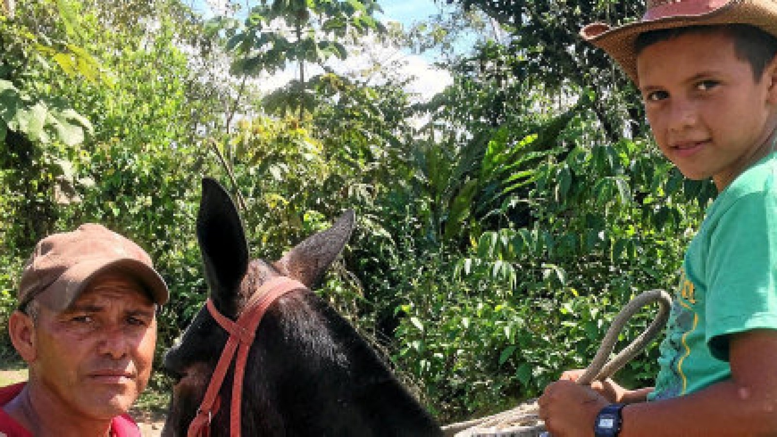 Matteo hilft beim Aufbau seines Dorfes nach dem Krieg