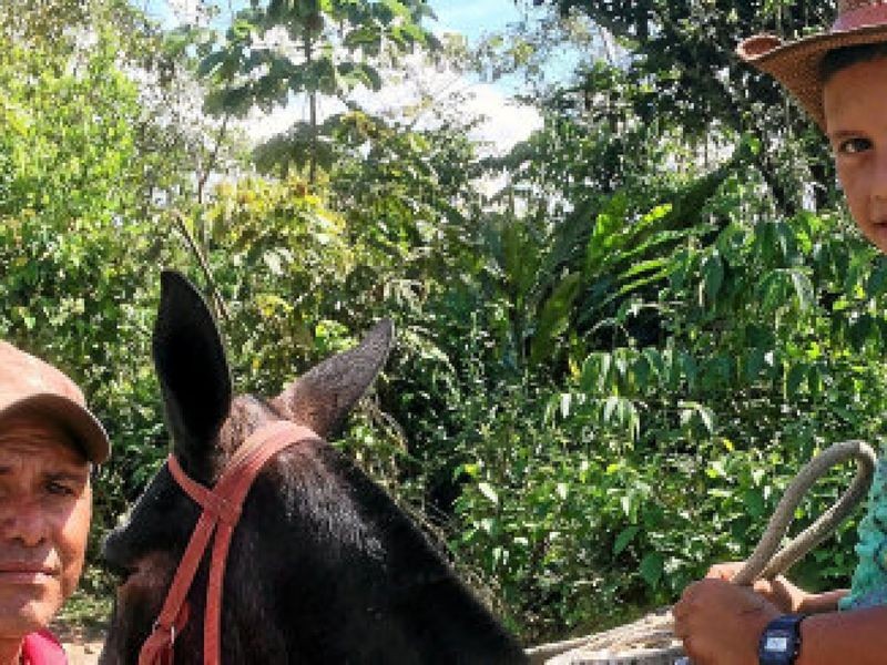 Matteo hilft beim Aufbau seines Dorfes nach dem Krieg