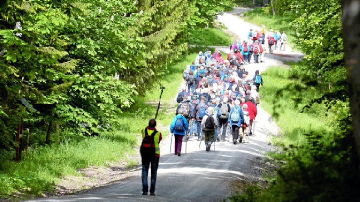 Wanderer kommen nach Lucka: Kleinstadt erstmals in Sieben-Seen ...