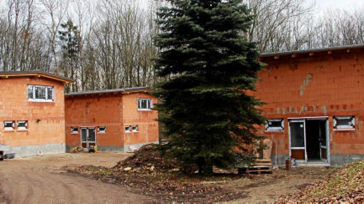 Neue Bungalows auf dem Possen kurz vor der Fertigstellung und schon ...