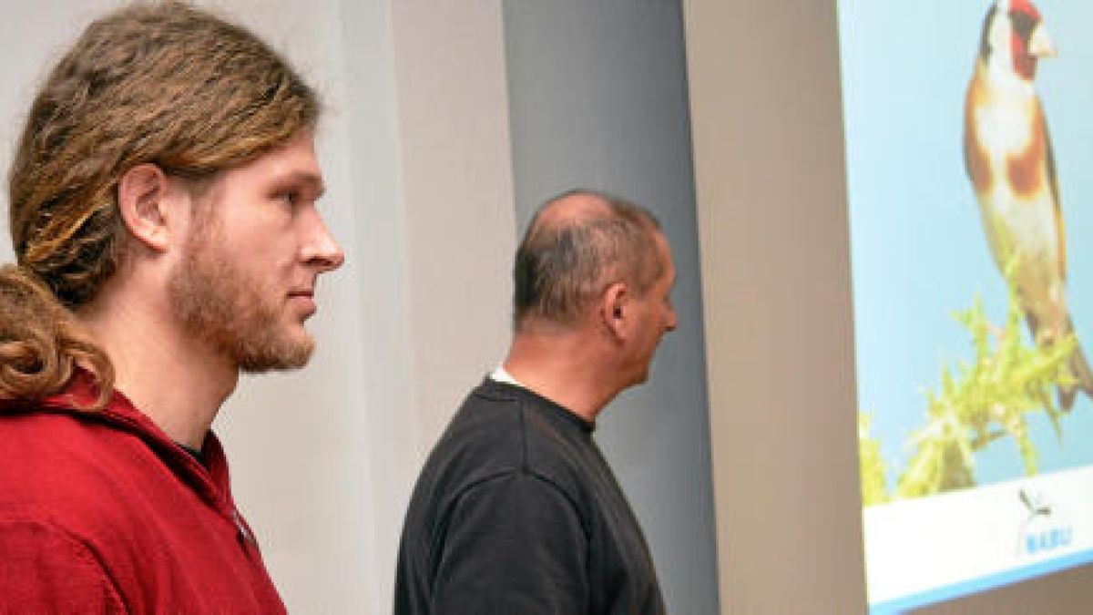 Der Stieglitz kämpft auch in Thüringen ums Überleben