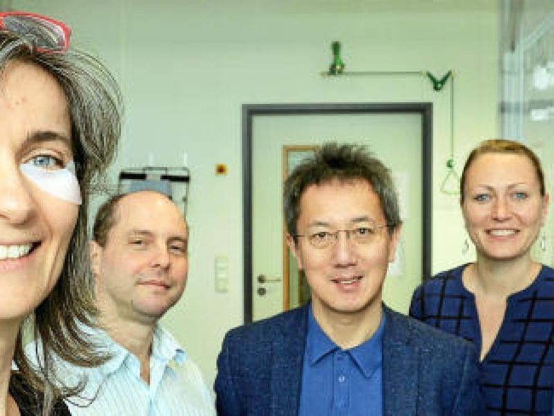 In Jena entwickeltes „Bio-Pflaster“ nun interessant für Krebsforschung