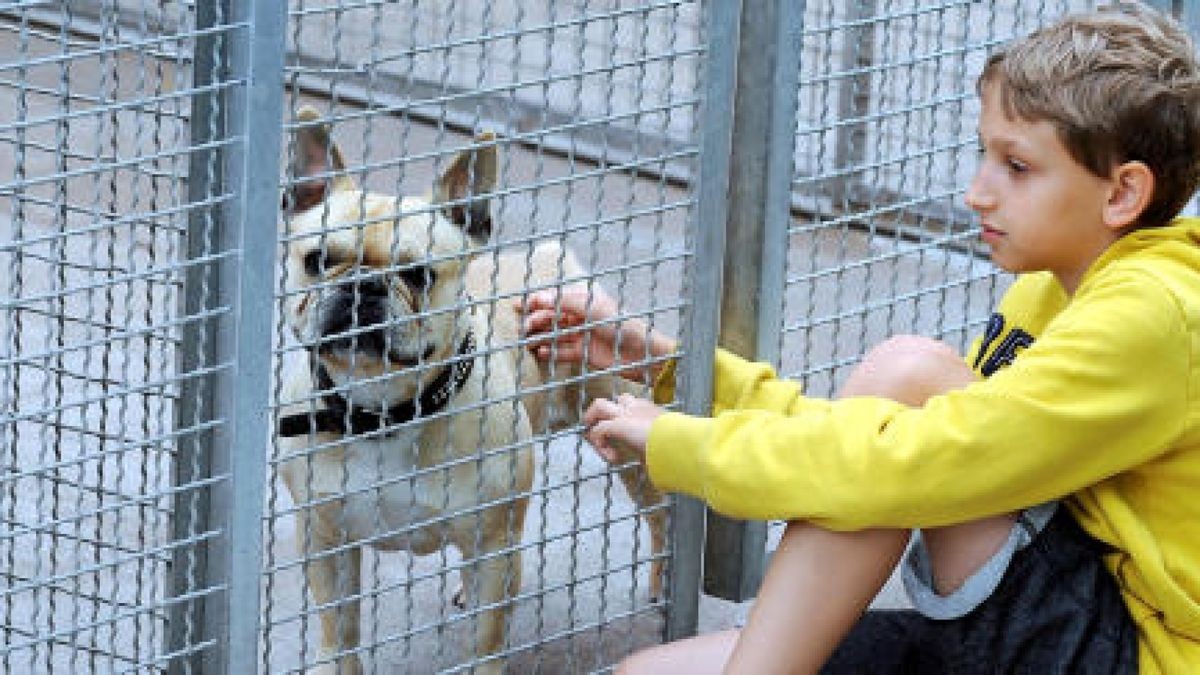 Das Erfurter Tierheim ist viel mehr als nur ein Heim für Hunde