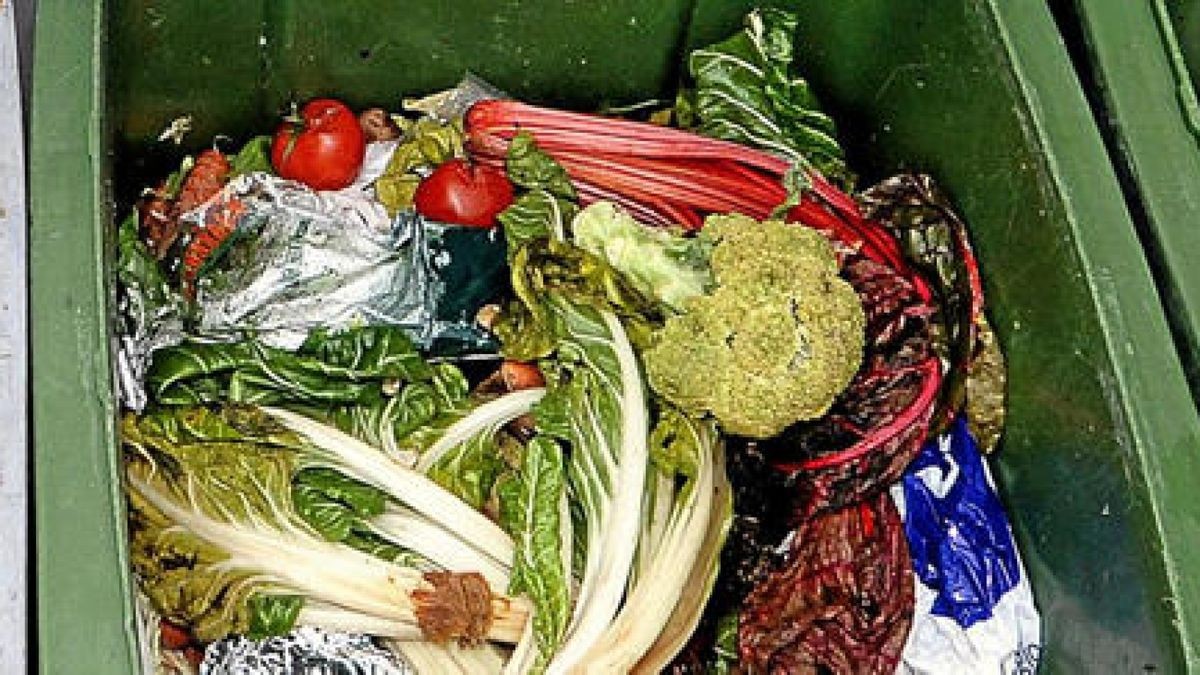 Zu viel Bio im Müll der Plattenbauten