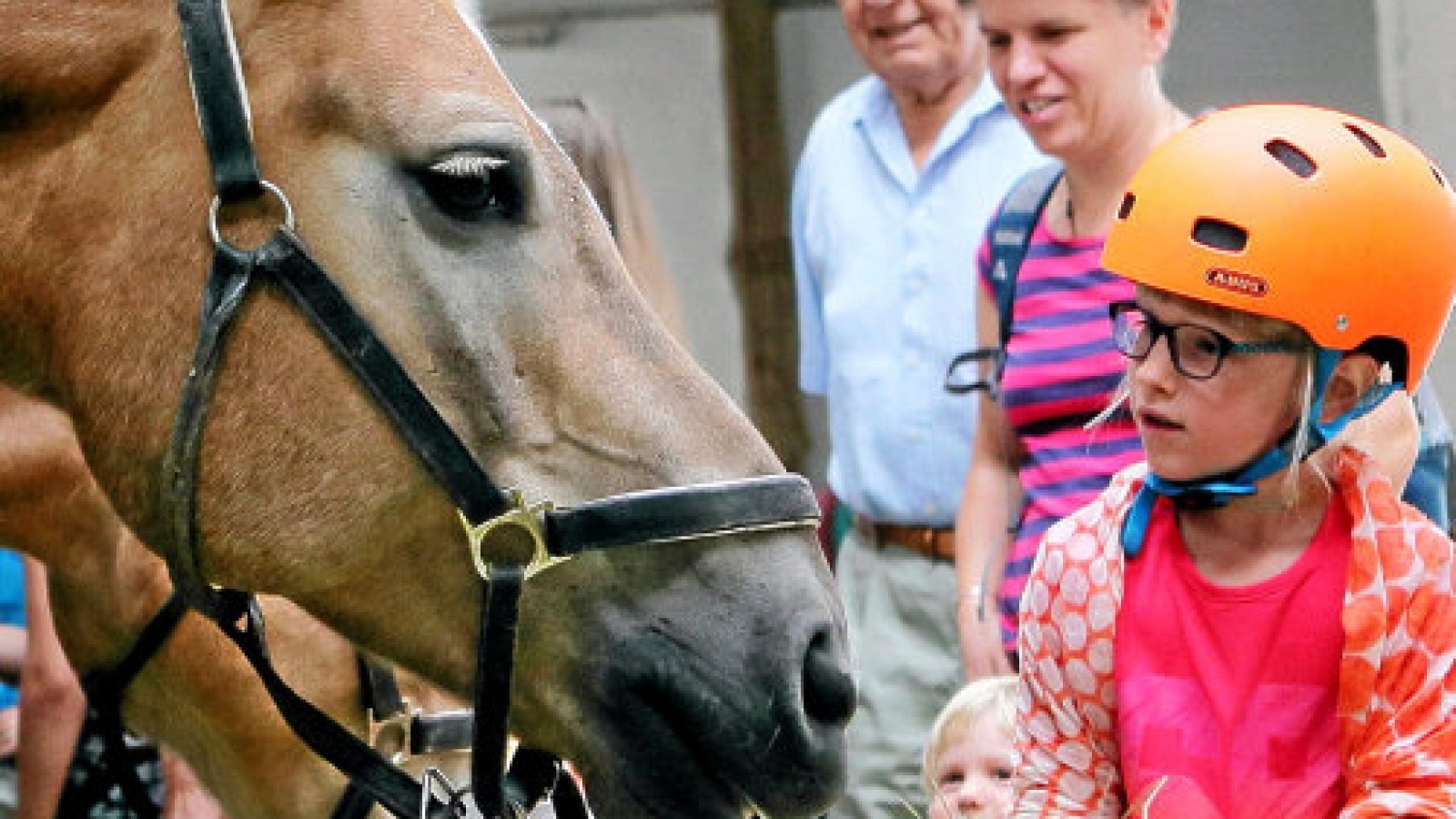 Ende des Jahres gibt Reiterhofchef Peter Fiala die Zügel aus der Hand