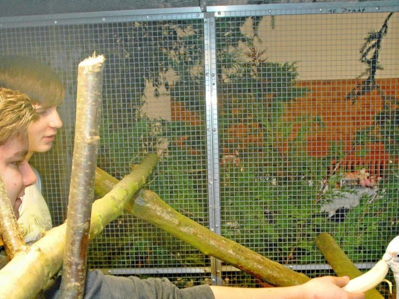 Füttern erlaubt in Behringen