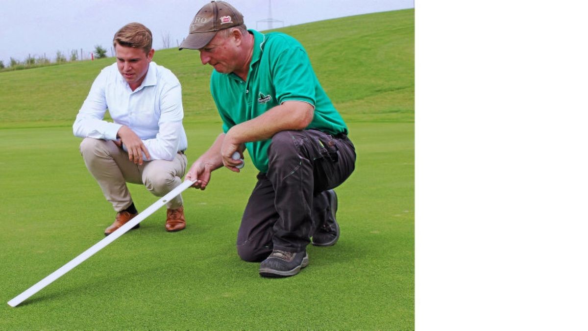 Rasen mit Tempogarantie