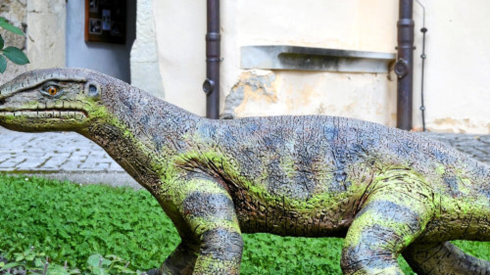 Protorosaurus auf Burg Ranis braucht einen Namen