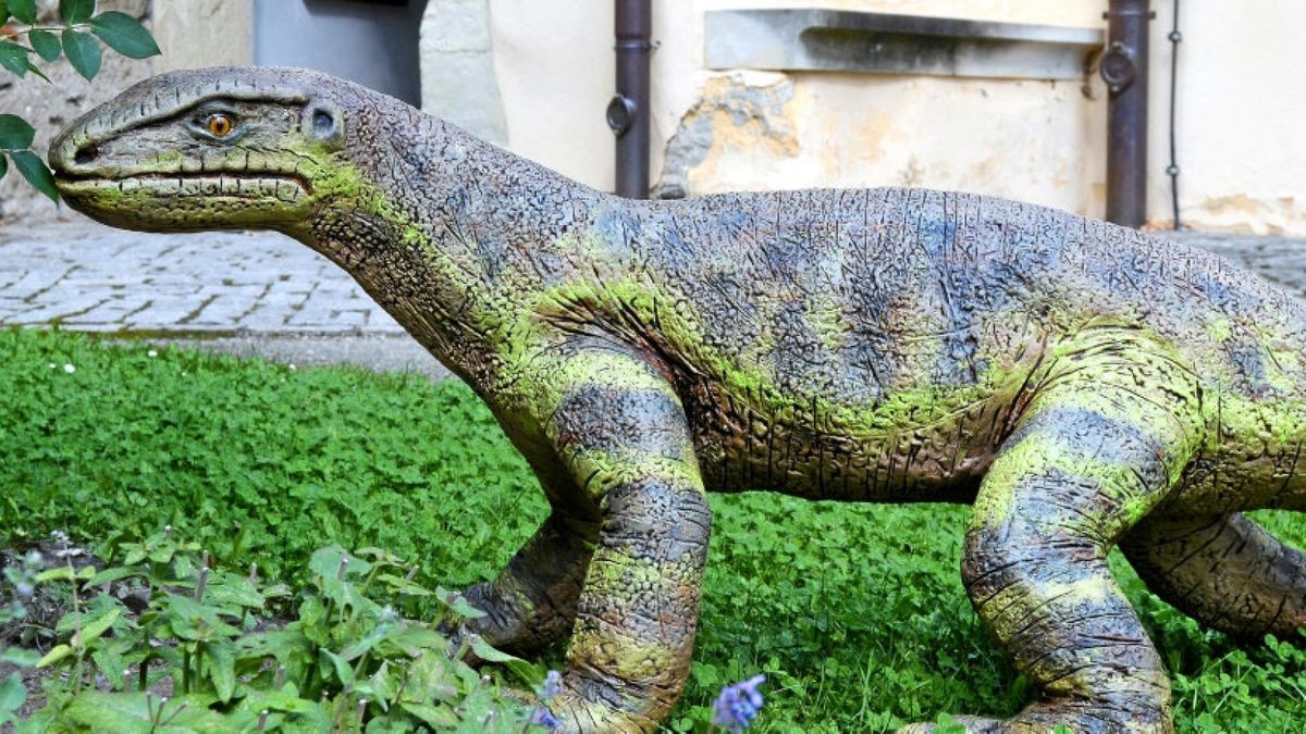 Protorosaurus auf Burg Ranis braucht einen Namen