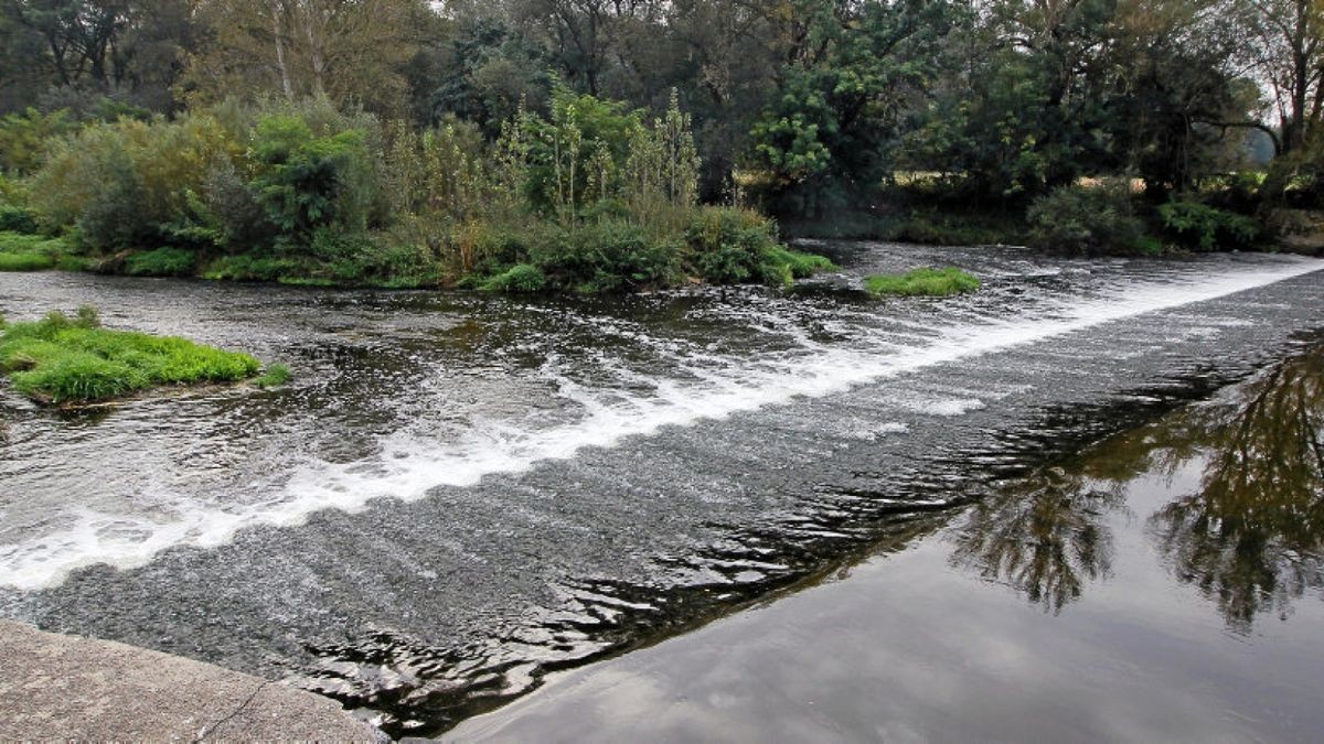 Alt-Arm der Elster soll den Flutpegel senken