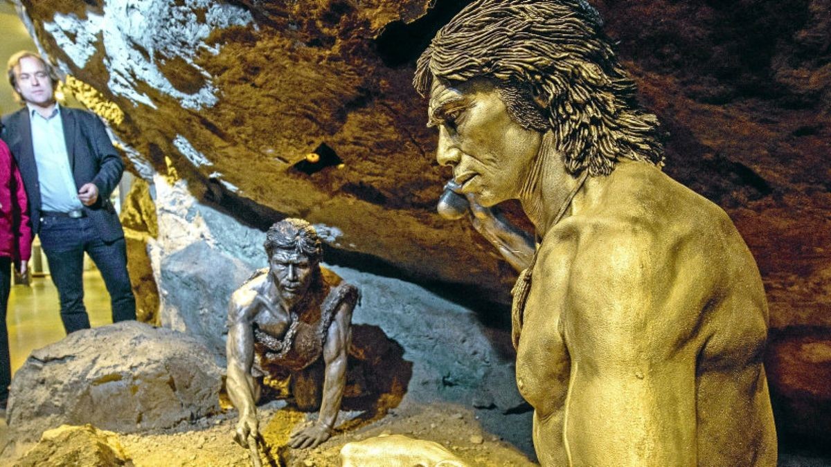 Museum für Ur- und Frühgeschichte bleibt in Weimar