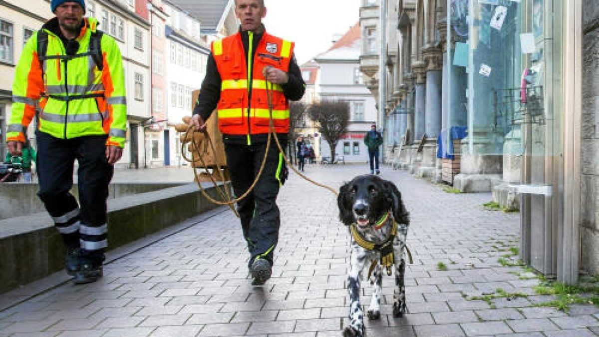 Rettungshundestaffel übt den Notfall in Erfurt
