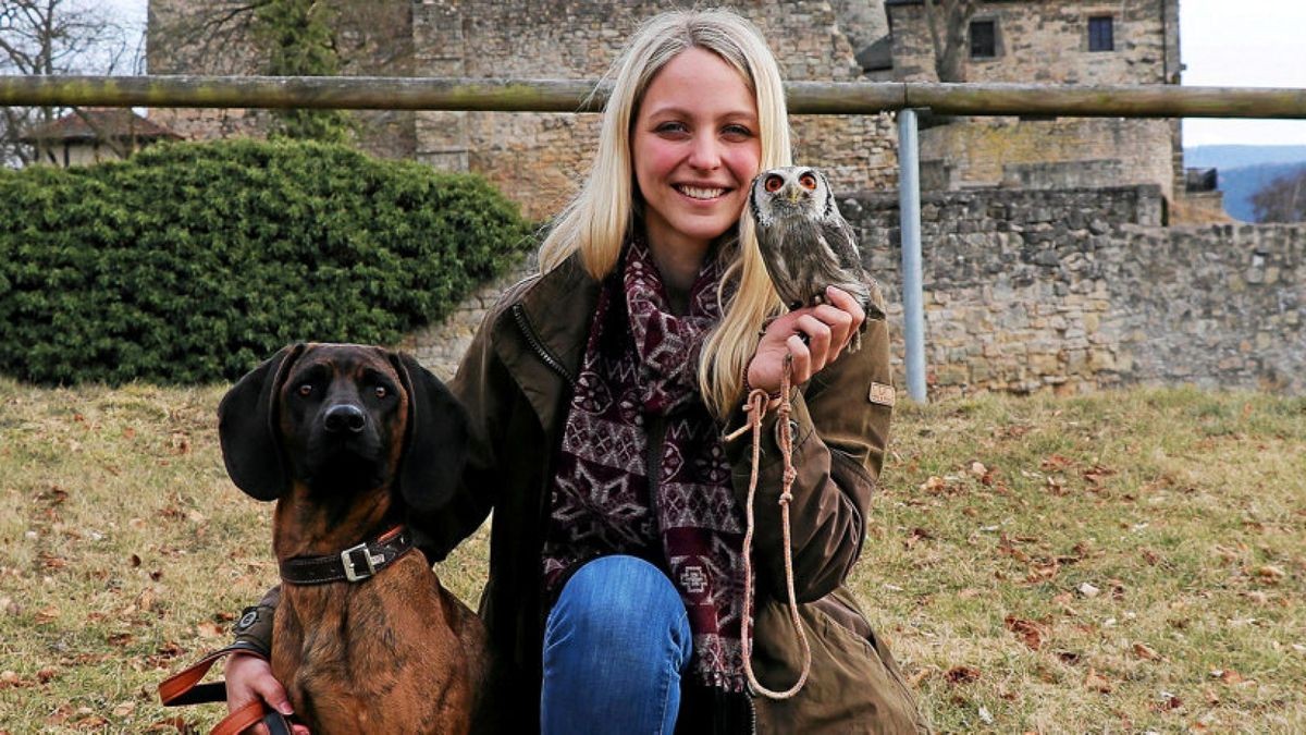 Greifenstein: Majestäten der Lüfte hautnah erleben