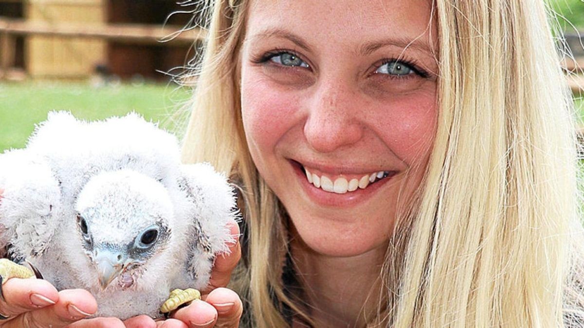 Tierischer Nachwuchs auf Burg Greifenstein