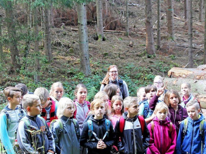 Wenn der Wald zum Klassenzimmer wird