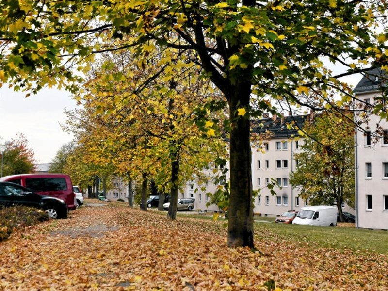 Pohlitz zeigt sich herbstlich