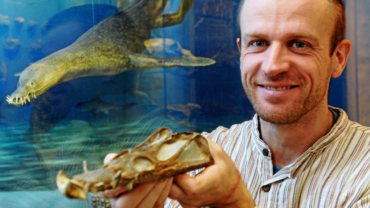 235 Millionen Jahre alte Funde für Erfurter Naturkundemuseum