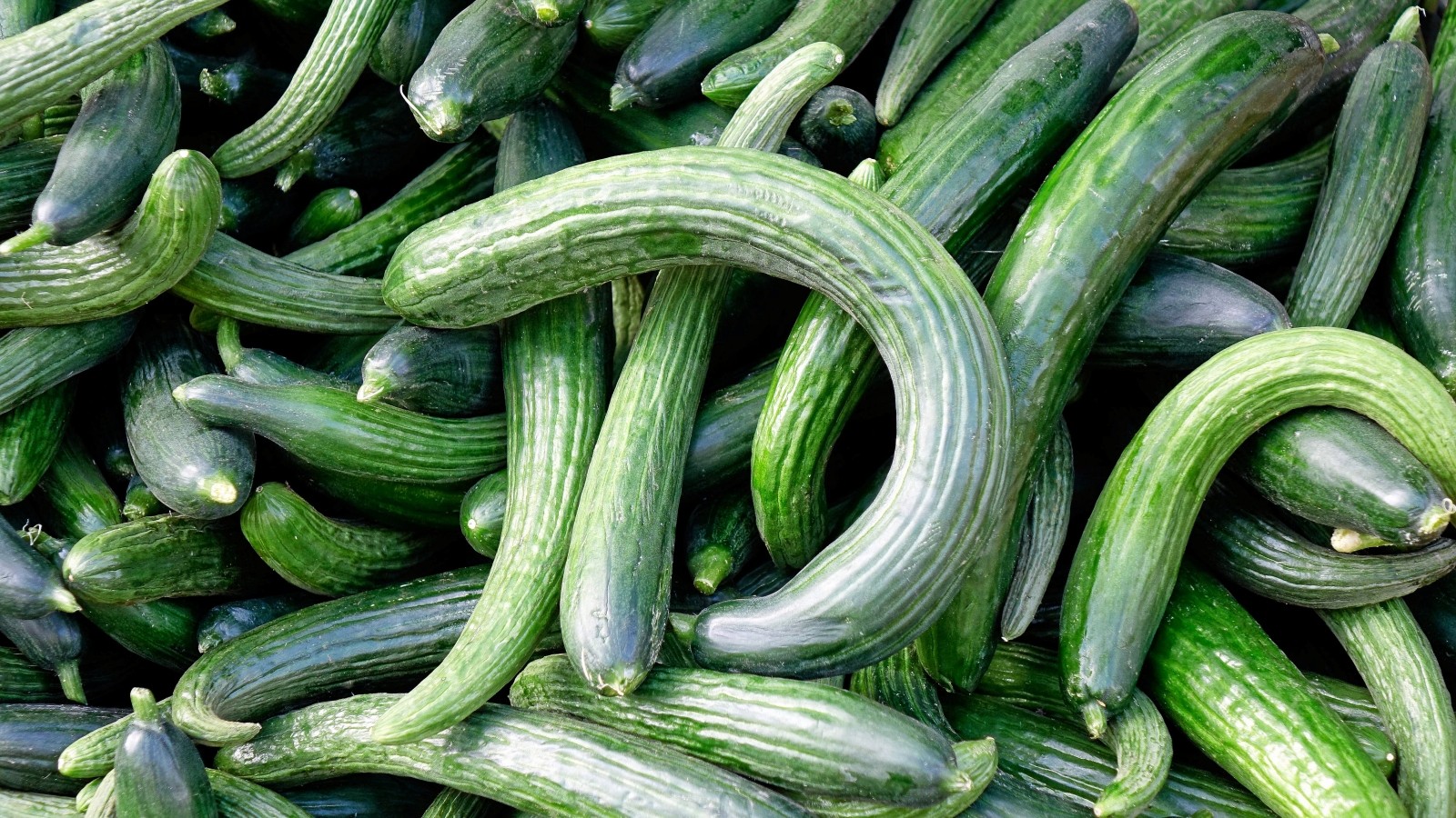 Krumme Gurken, Bürokratie-Monster – EU-Mythen im Faktencheck