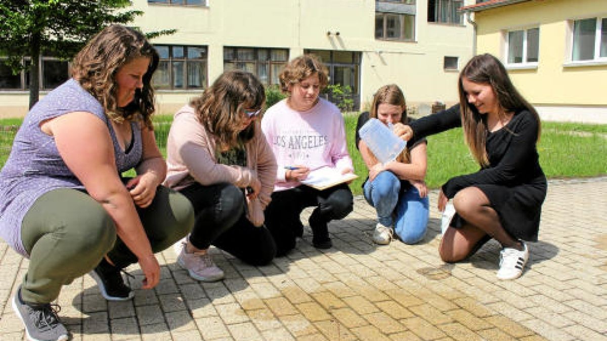 Projekt Hochwasser in Crossen: Was passiert, wenn die Flut kommt