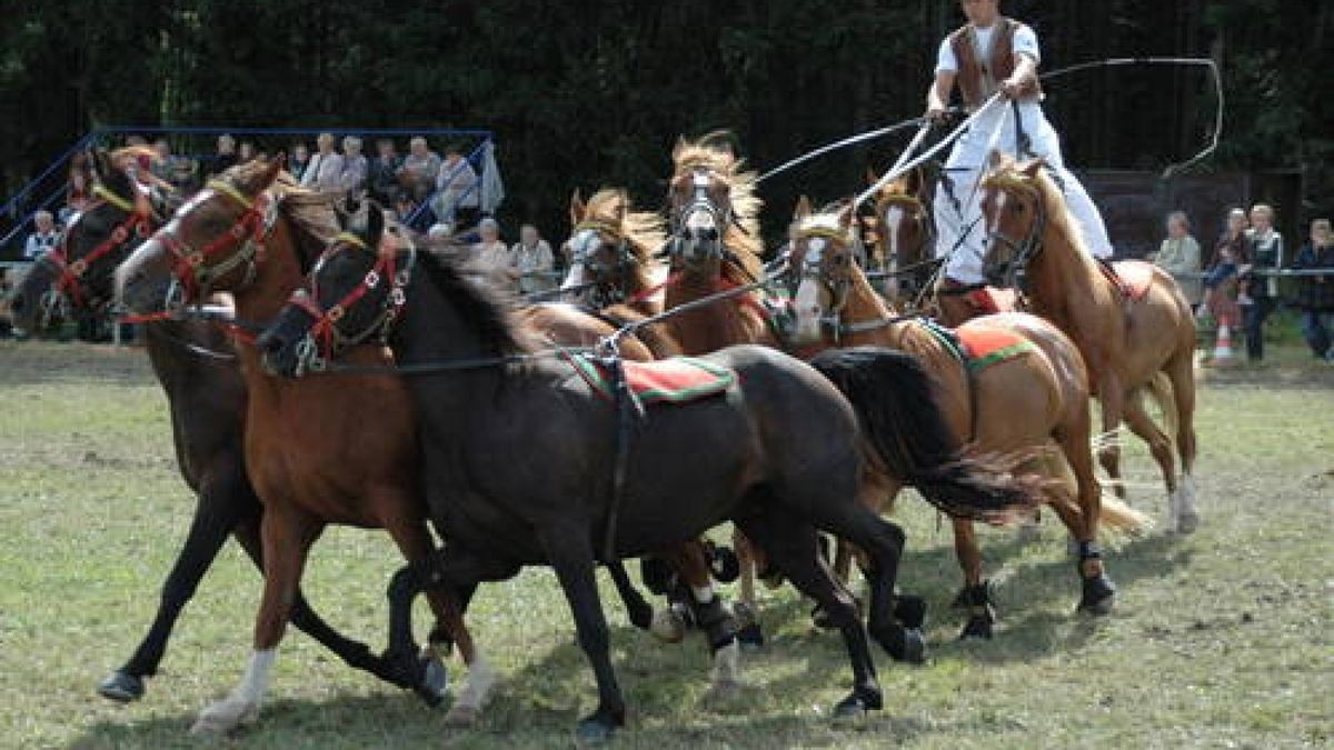 Pferdefest in Oberlemnitz