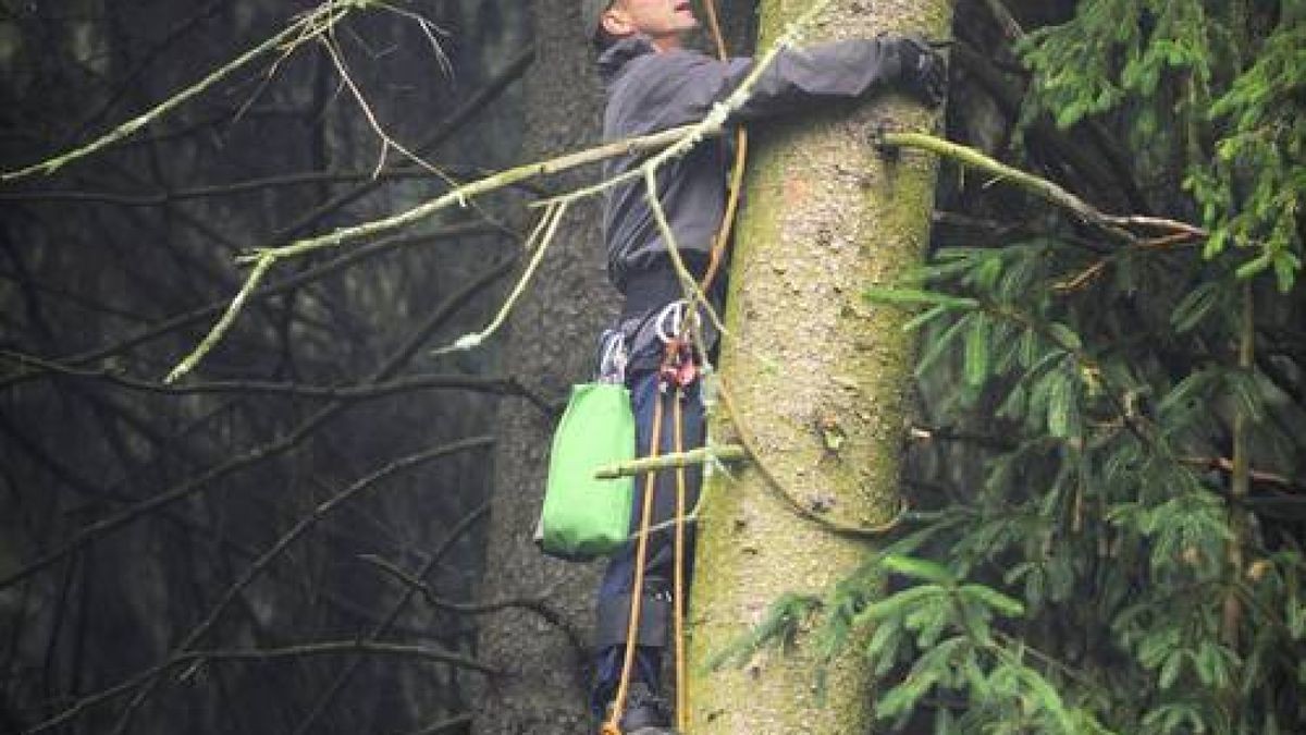 Mit dem Ornithologen Carsten Rohde nahe Lehesten unterwegs