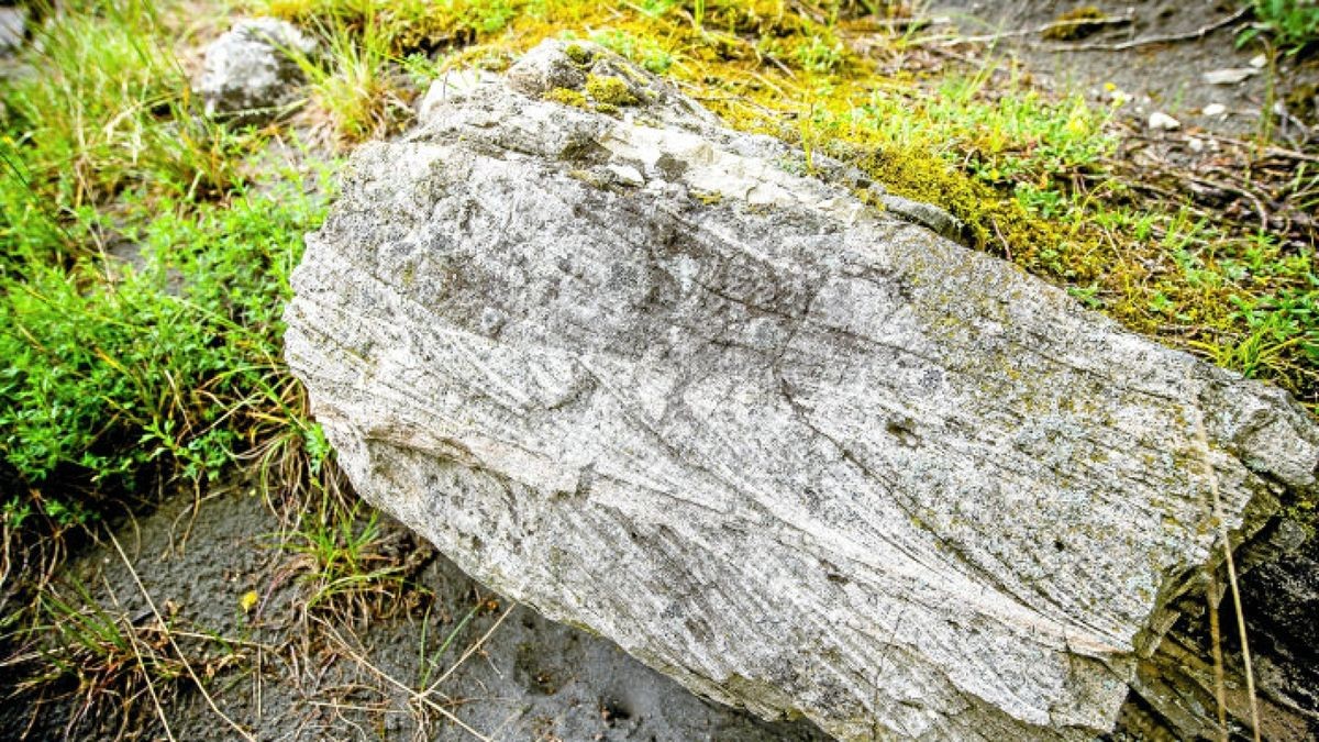 Wandern durch 300 Millionen Jahre Erdgeschichte in Thüringen