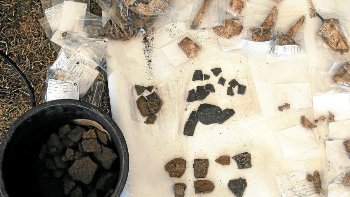 Die mysteriösen Toten von der Kuckenburg