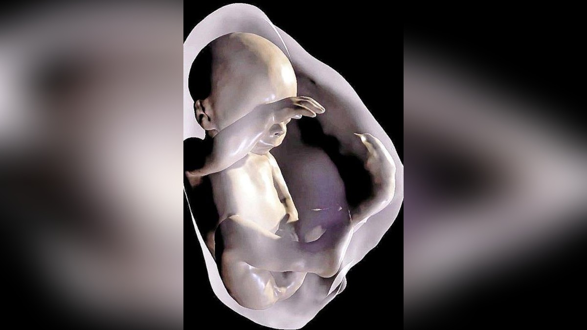 Virtuelles „Baby-TV“: So sieht das erste ungeborene Babys aus ...