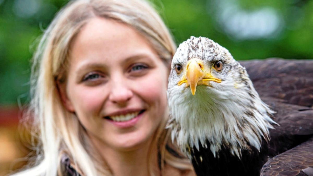 „Wir und die Vögel sind gleichberechtigt“ - Die jungen Falkner von Burg ...