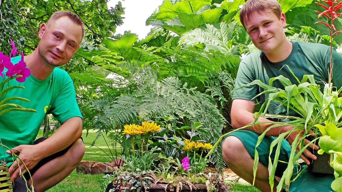 Sonntag ist Pflanzen-Raritäten-Börse im Botanischen Garten in Jena