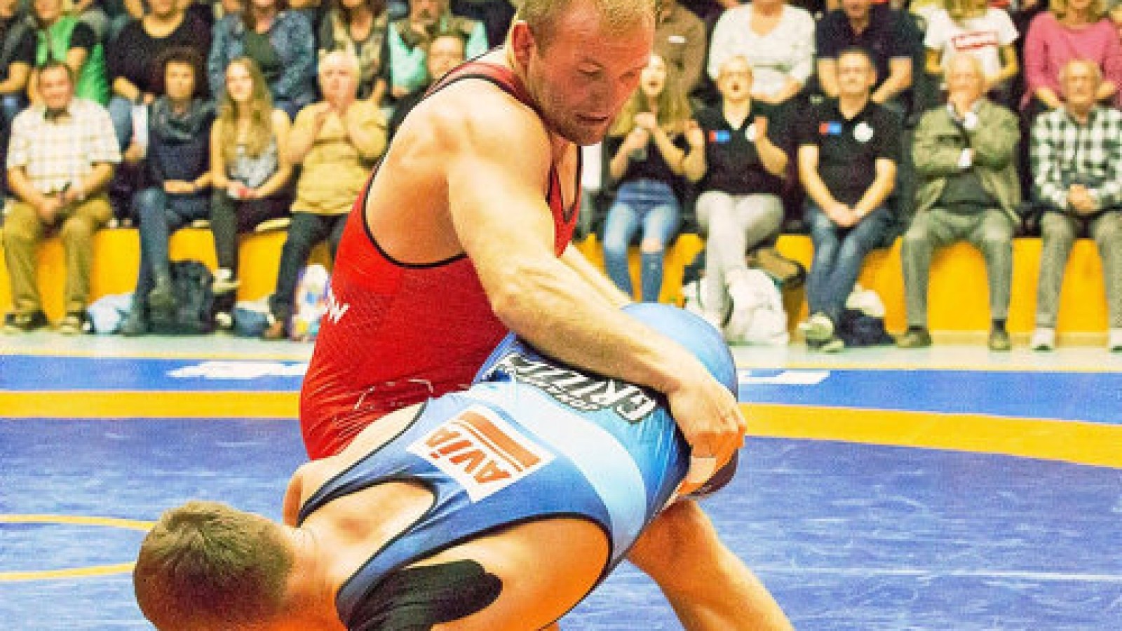 Martin Obst beim Park- und Schloßfest dabei